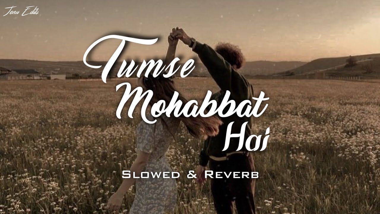 Tumse Mohabbat Hai Haan Song Lofi | Slowed & Reverb Song | Jenu Editz ...