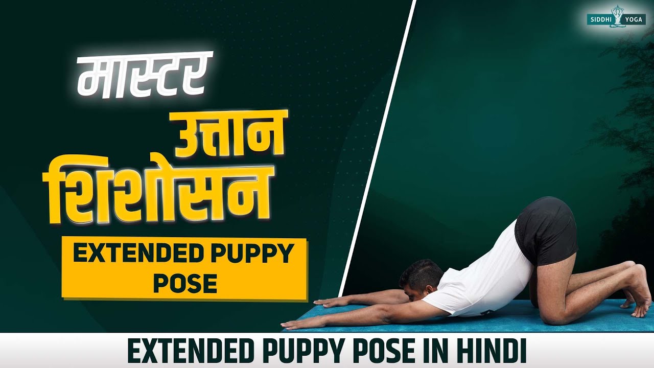 उत्तान शिशोसन Master Uttana Shishosana 🐾 Unleash Your Flexibility with ...