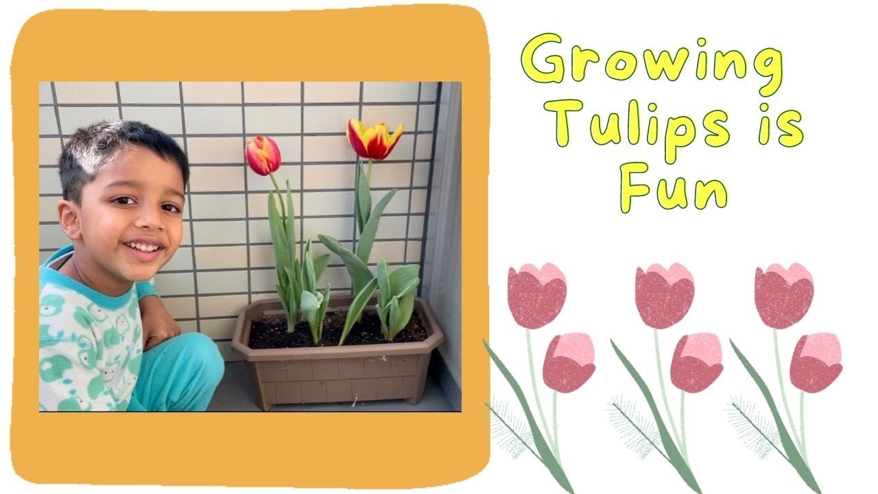 Growing Tulips with Kids | Gardening is fun | Go Green With Reya ...
