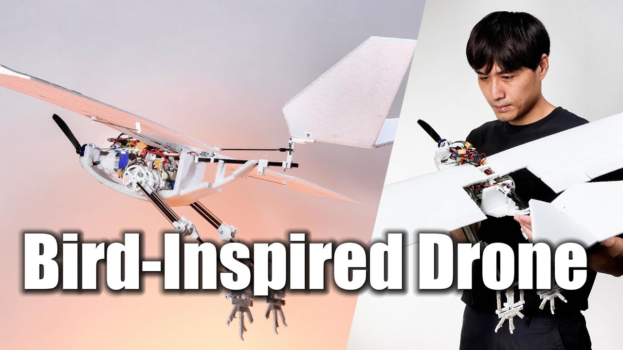 Bird-Inspired Drone That Walks, Hops, and Leaps - Mind Blowing ...