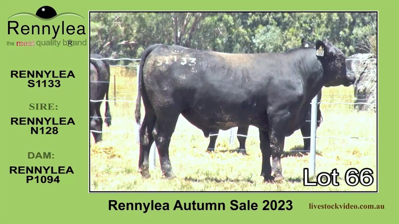 Lot 66 Rennylea March 2023 - YouTube