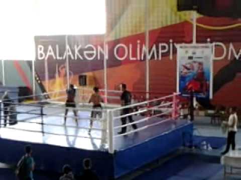 *****Elnur Mahmudov*****[kimbokuscu]