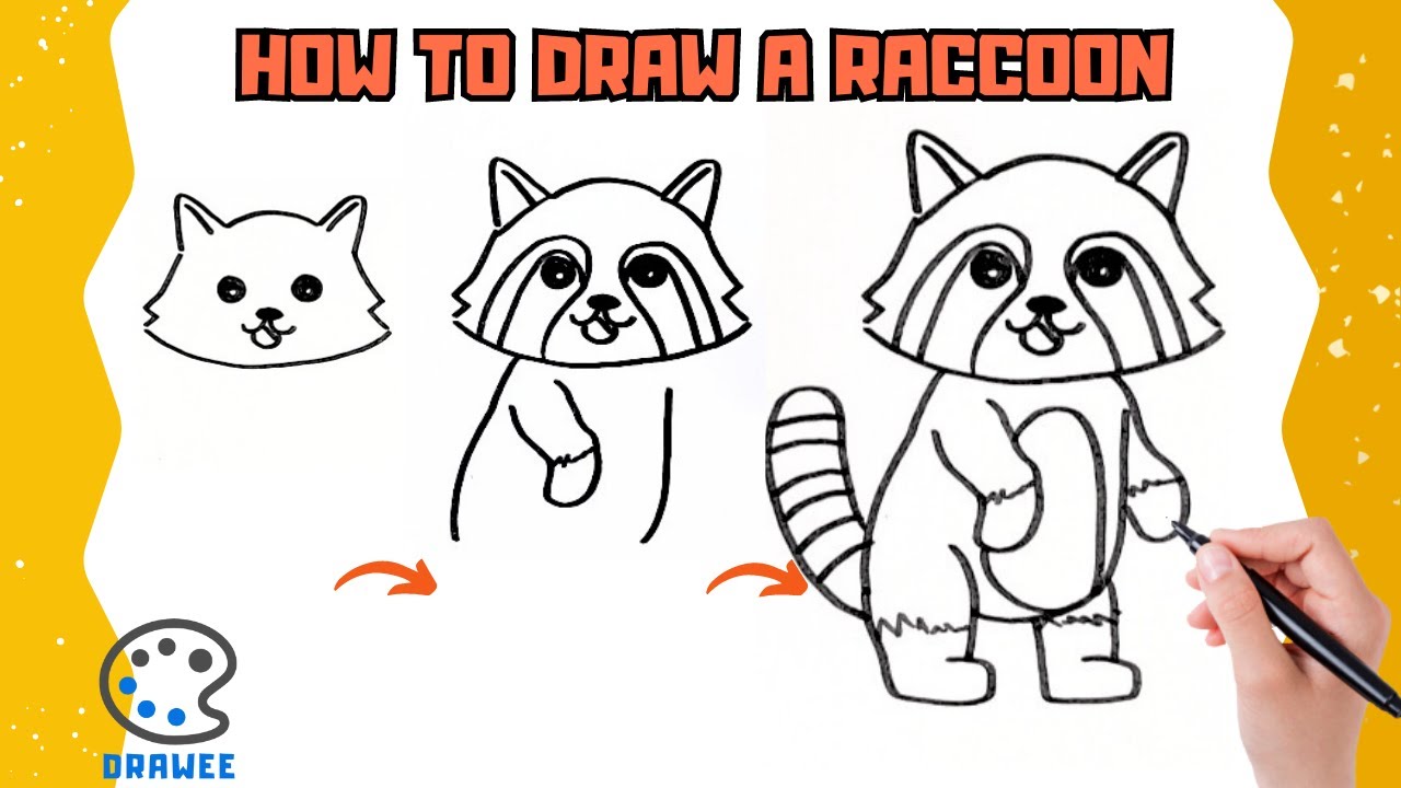 How to draw a Raccoon - YouTube