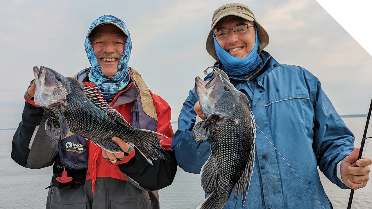 How to catch sea bass using artificial baits - YouTube