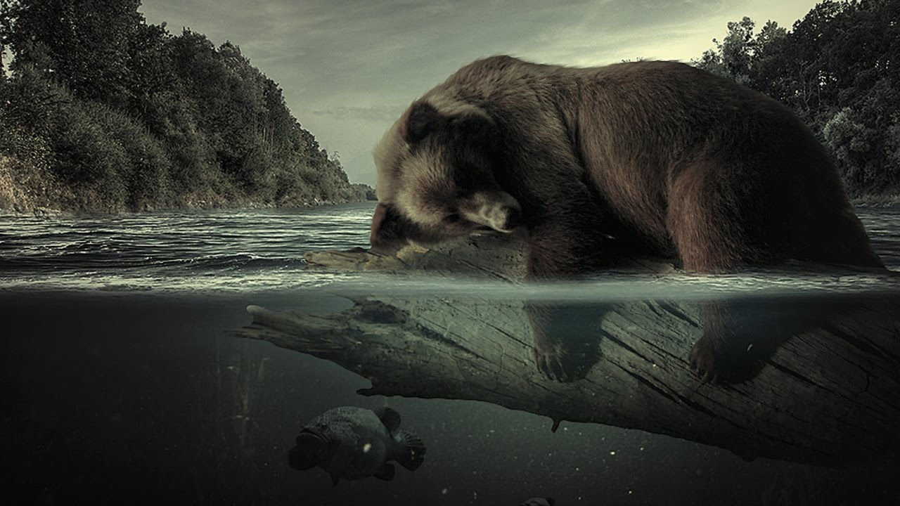 Photoshop Manipulation Tutorial-Bear Problem - YouTube
