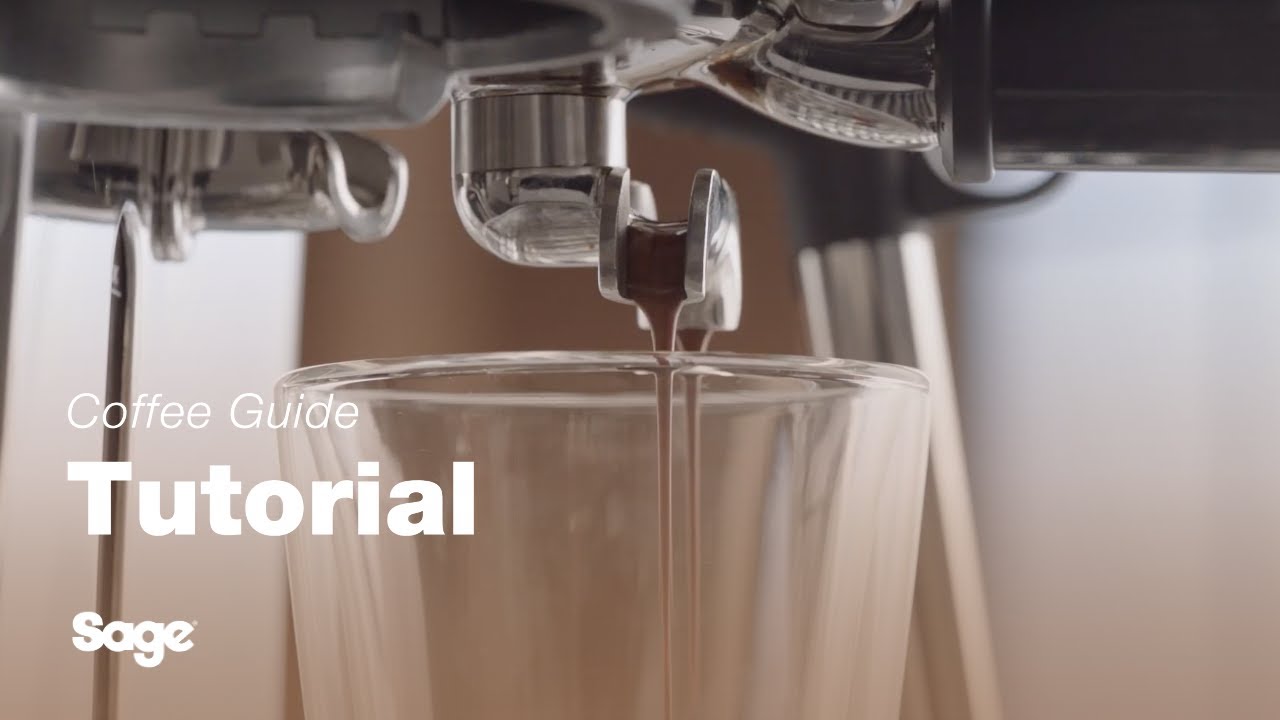 The Barista Express™ Impress | How to achieve the perfect espresso ...