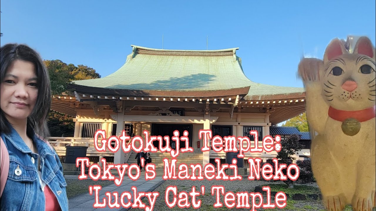 Gotokuji Temple: Tokyo's Maneki Neko 'Lucky Cat' Temple - YouTube