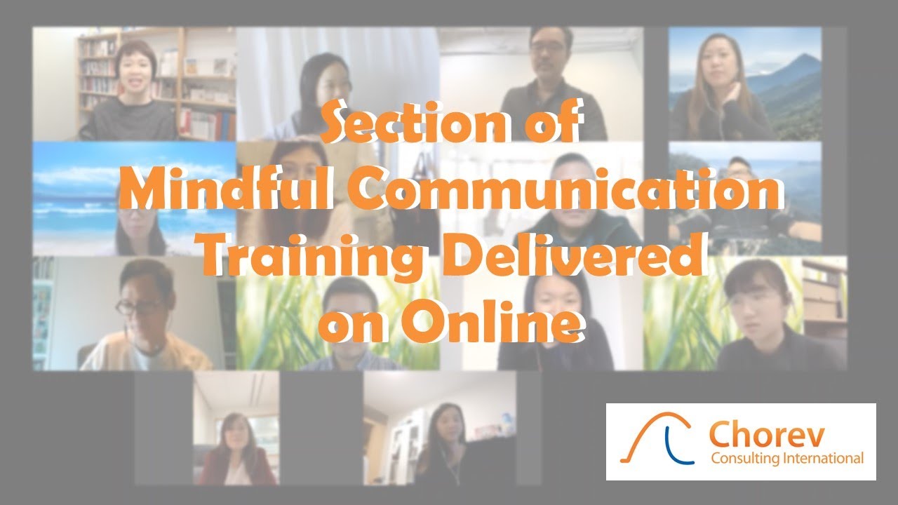 Section of Mindful Communication training delivered on online (by ...