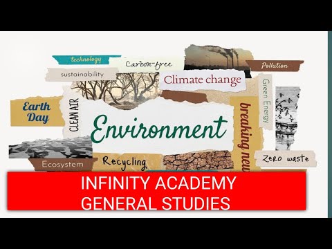 What Is Vertical Zonation Ecology