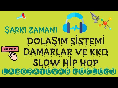YENİ ŞARKI DOLAŞIM SİSTEMİ, EĞLENİRKEN ÖĞRENİYORUZ. #dolaşım #sistem