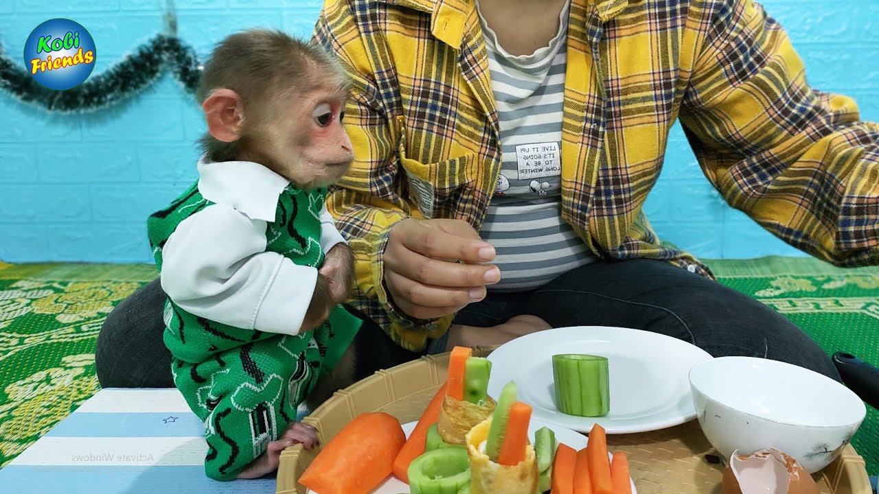 Kobi Monkey waiting mom to make sushi - YouTube