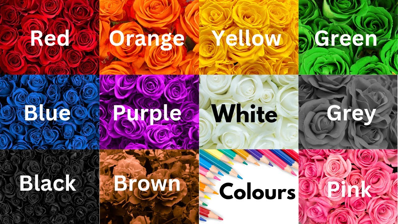 Color Song | Beautiful Rainbow Song | Nursery Rhymes and Kids Song ...