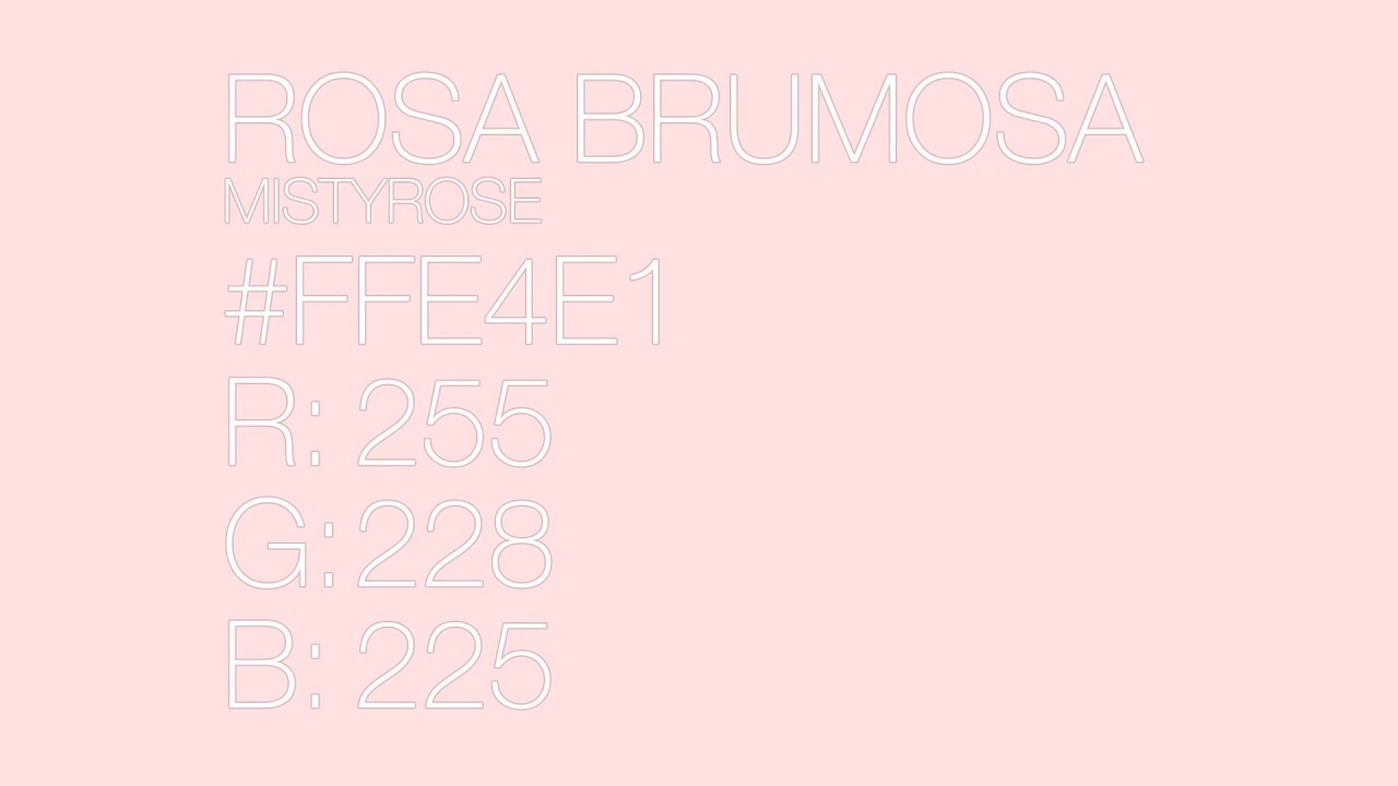 #ffe4e1_ Fondo Rosa brumosa / Mistyrose Screen 1H - YouTube