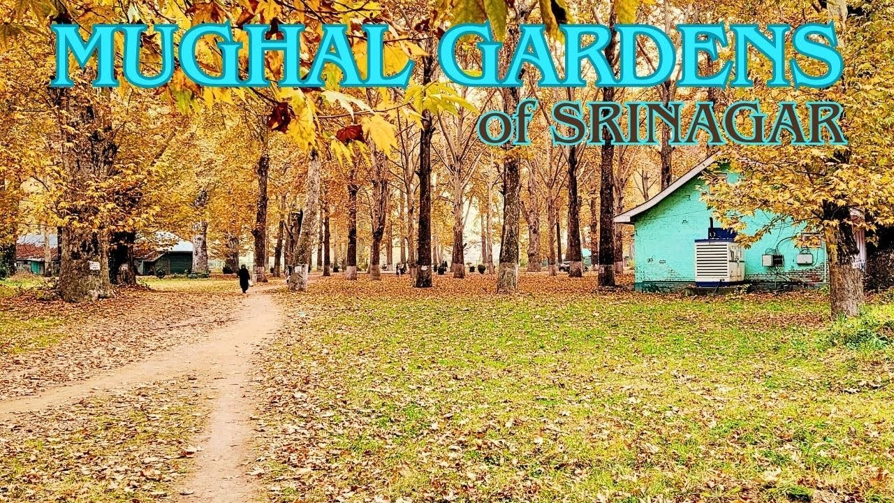Magical Mughal Gardens of Srinagar, Kashmir | Nishat Bagh, Pari Mahal ...