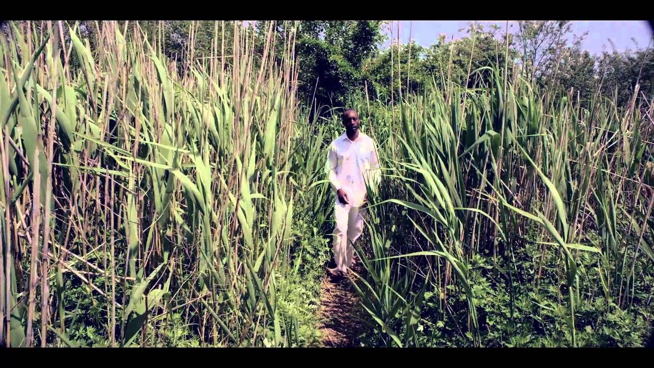 For Colored Boys, REDEMPTION / Episode 2 of 8 - YouTube