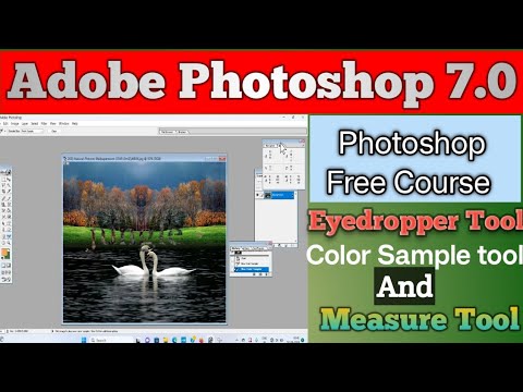 Adobe Photoshop 7.0 || Photoshop Eyedropper Tool, Color Sample Tool and ...