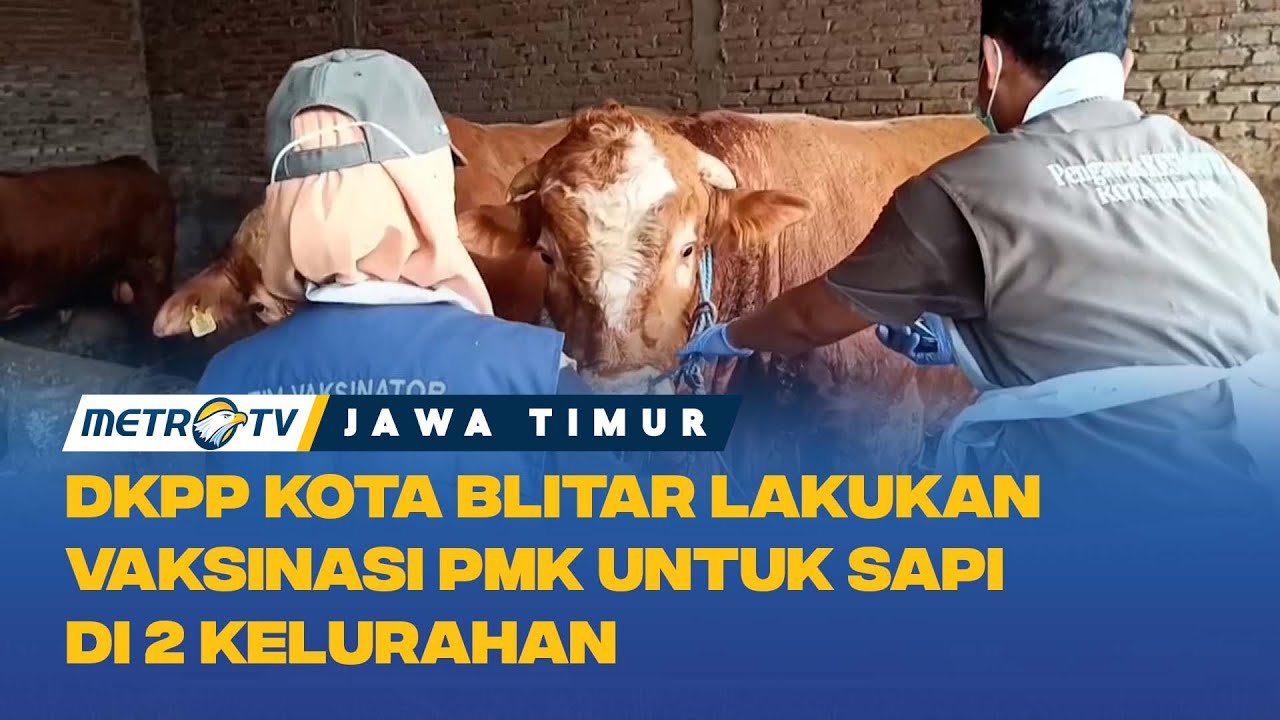 DKPP Kota Blitar Mendapatkan Jatah Vaksin dari Pemerintah Pusat ...