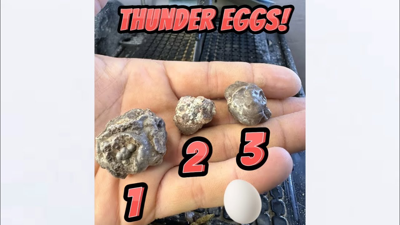 3 amazing thunder eggs! 🥚 #thunder #egg #agate #colorado - YouTube