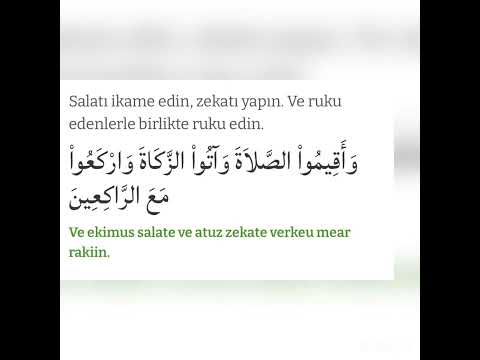 Bakara Suresi - 43. Ayet Tefsiri