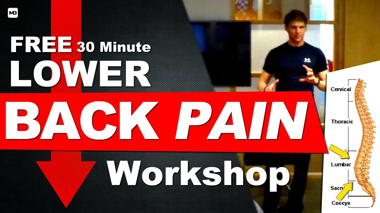 Lower Back Pain Workshop | Low Back Pain Exercises at Work & Home - YouTube