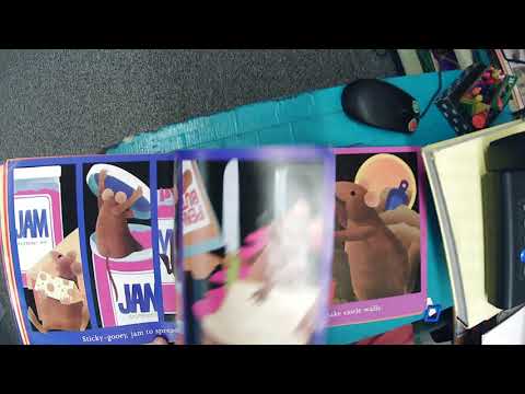 Mouse Mess Book - YouTube