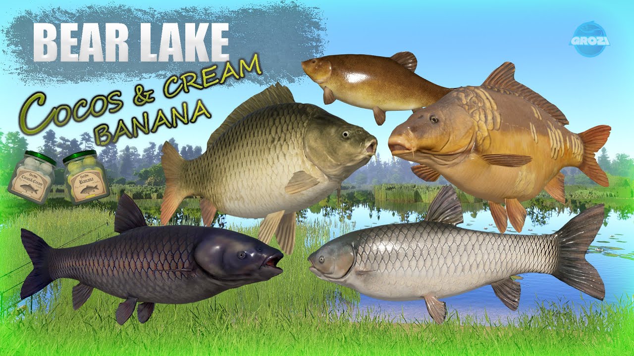 Russian Fishing 4 RF4 Bear Lake. Good active spot of carp - YouTube