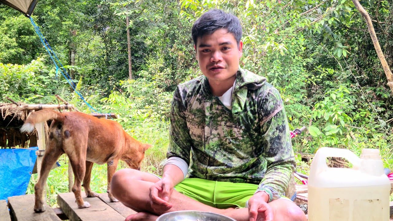 MUKBANG DAGING KANCIL HASIL BERBURU DI PONDOK TENGAH HUTAN - YouTube