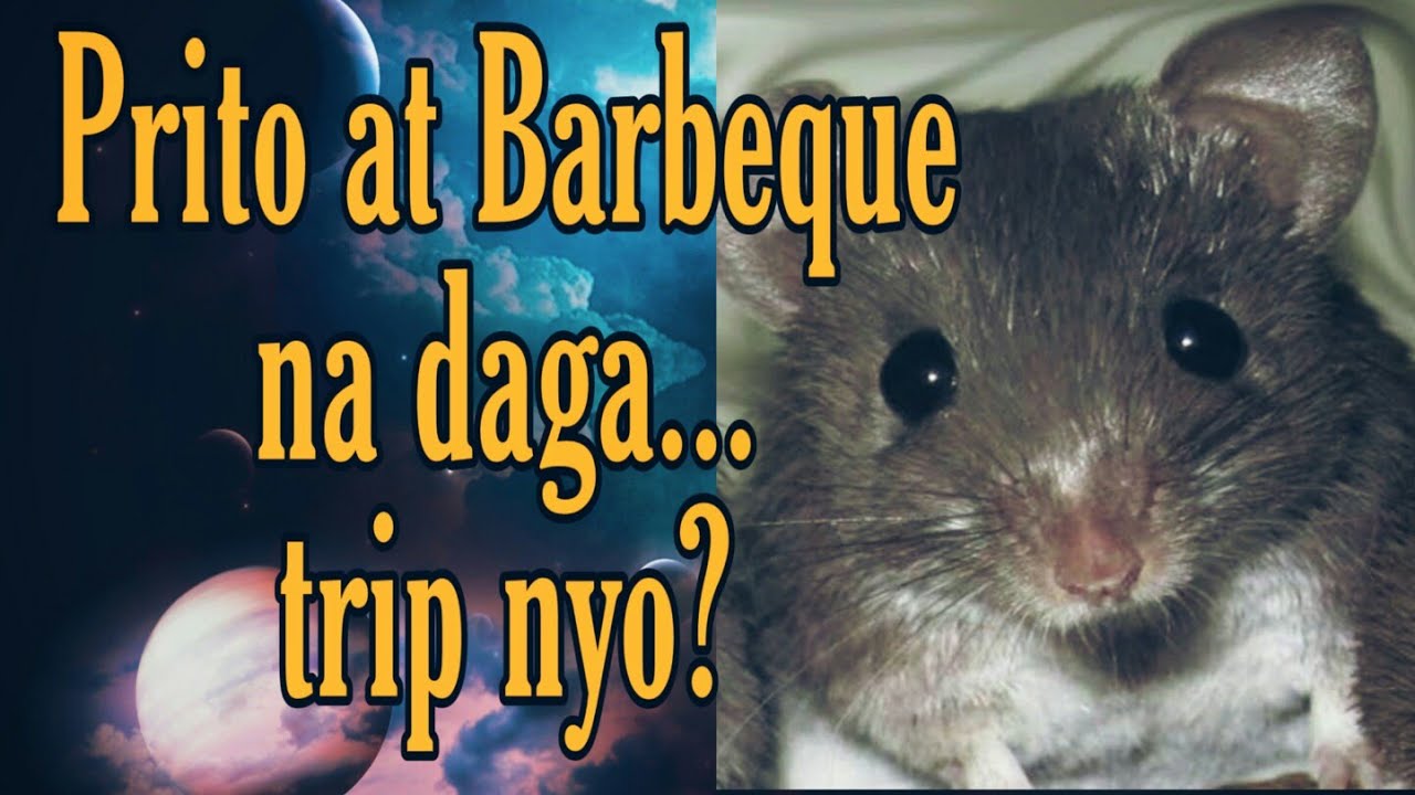 Prito at barbeque na daga? Trip nyo? - YouTube