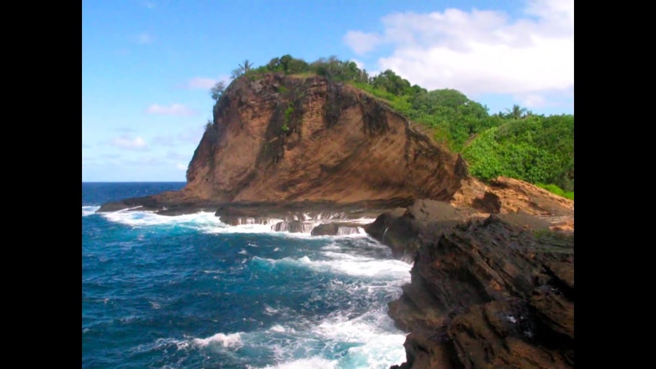 Sears Reunion, August 2017, Tribute to Life of William Gailey Sears ...