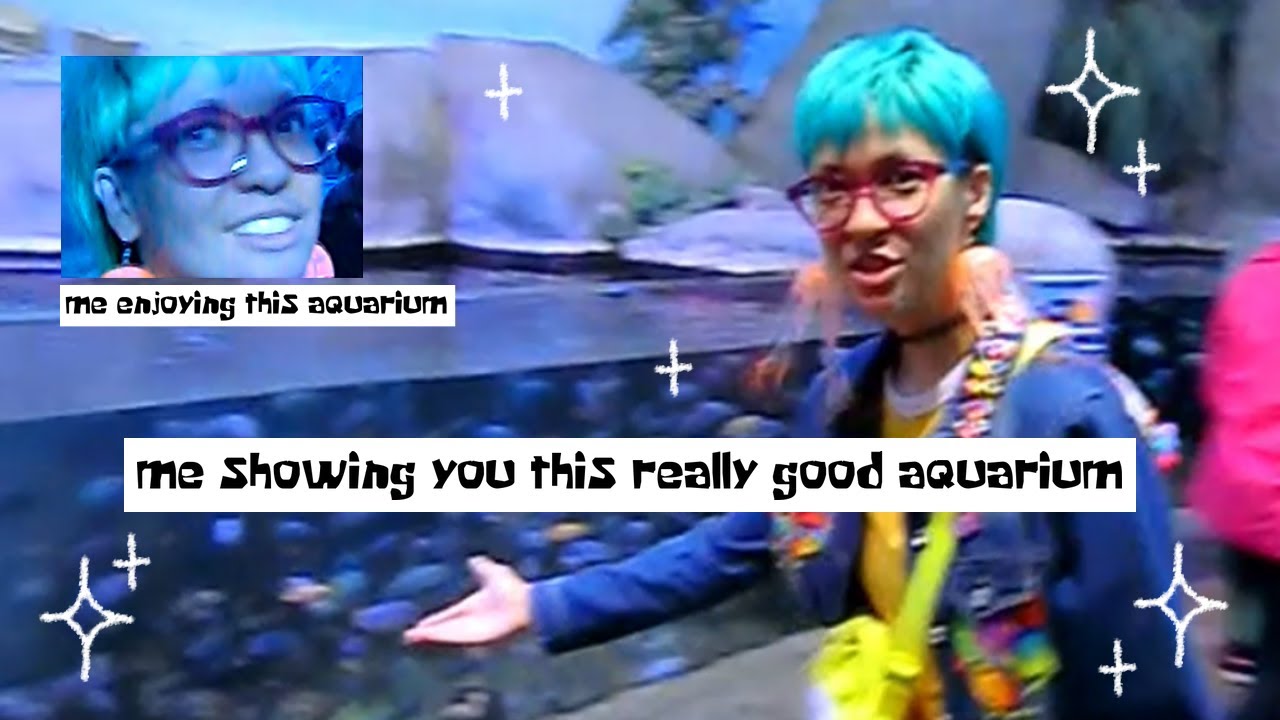 🐠an ode to this nostalgic aquarium🐠 - YouTube