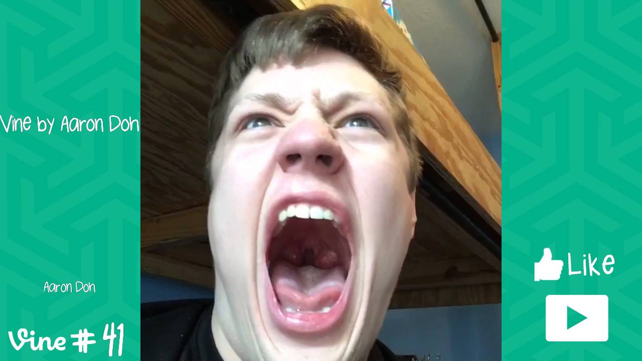 BEST NEW Vine Compilation December 2015 | Part 6 Vine Compilation - YouTube
