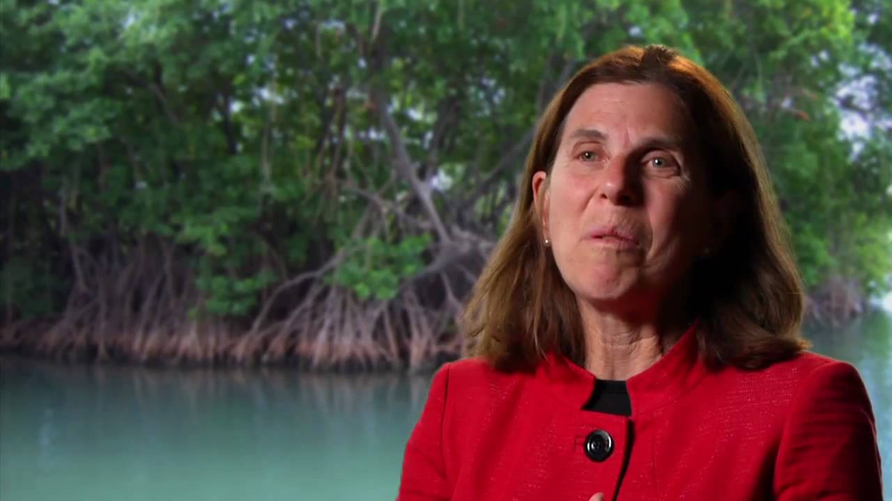 Lynne Hale - The Nature Conservancy - YouTube