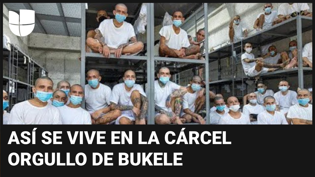 Así se vive en la cárcel orgullo de Bukele: los rapan cada cinco días y ...