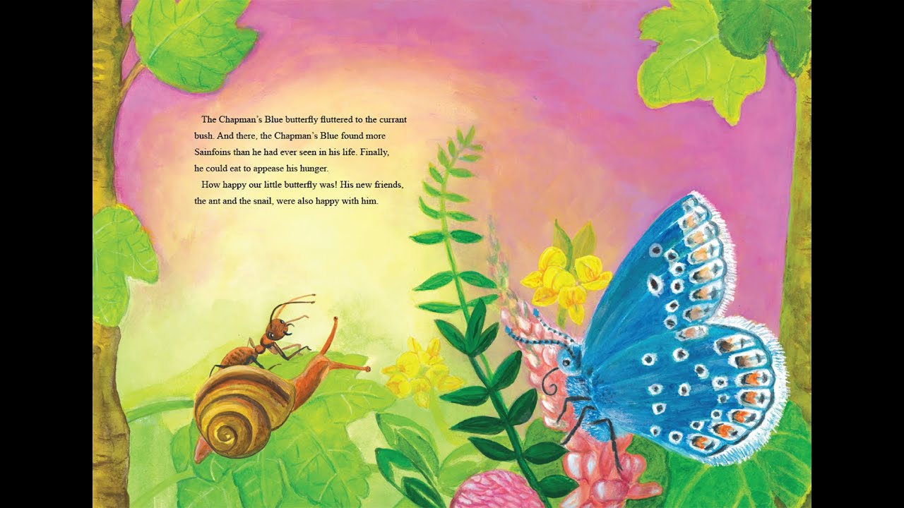 The Chapman's blue butterfly - Metulj Modrin - YouTube
