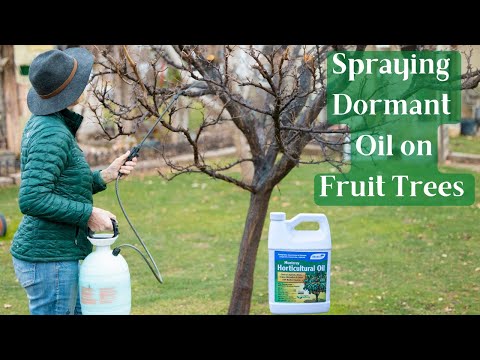Can Dormant Spray Inhibit Pollination