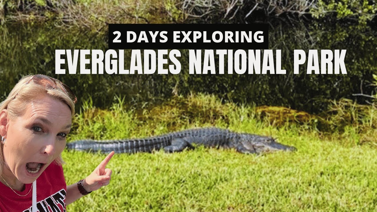 Everglades National Park: Stunning Airboat Tours, Alligators, Manatees ...