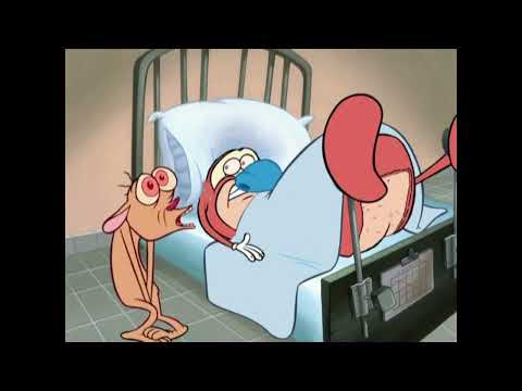 My 2 Favourite Moments from Stimpy's Pregnant