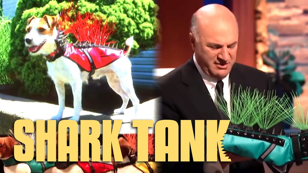 Protect Your Pooch With Coyote Vest! | Shark Tank US | Shark Tank ...