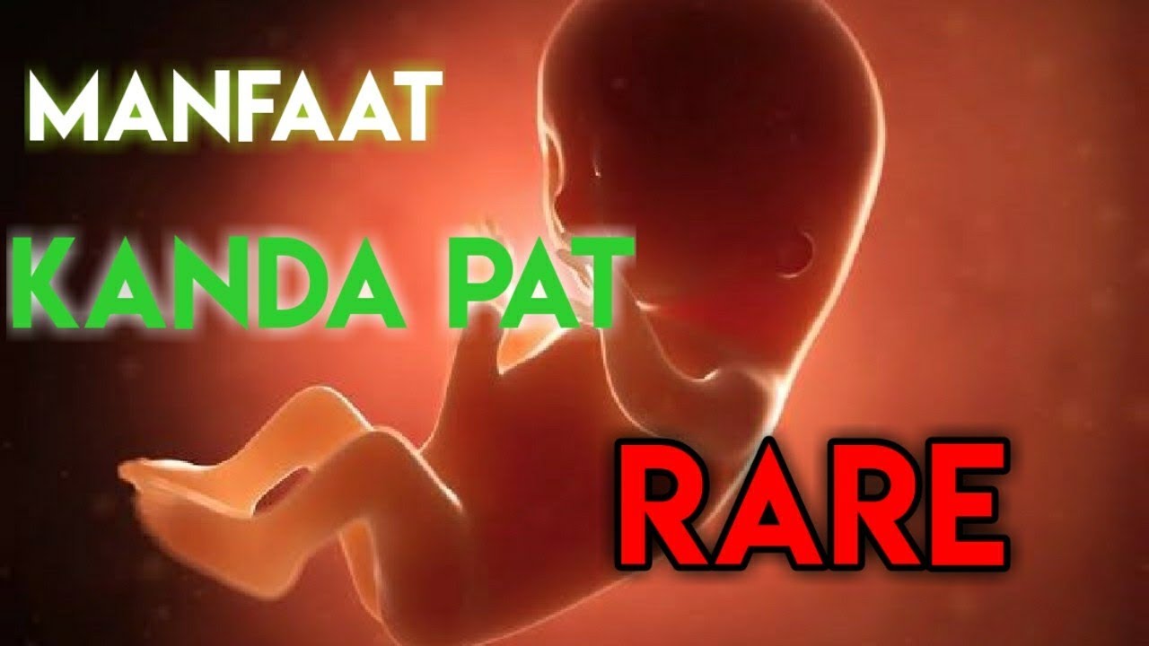 KANDA PAT RARE ( Pemahaman paling dasar) - YouTube