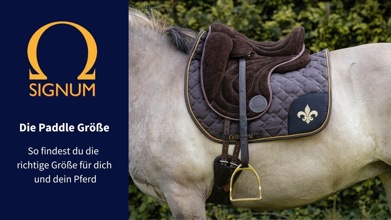 Die Paddle Größe - So findest du die richtige Größe für dich und dein ...