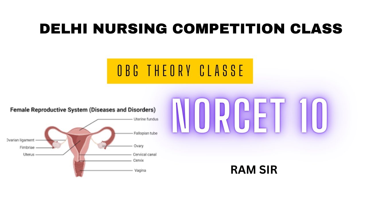 OBG THEORY CLASS (female reproductive system ) - YouTube