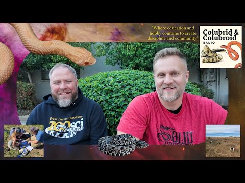 Talking Snakes with Dr Zac Loughman of West Liberty University and ...