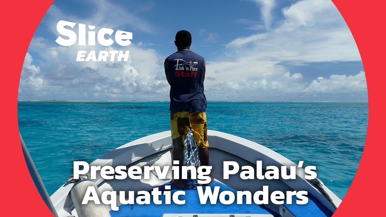 Preservation in Action: How Palau Found Balance Between Sustainability ...