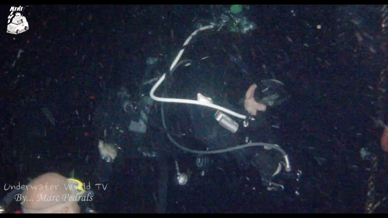 Diver incident - YouTube