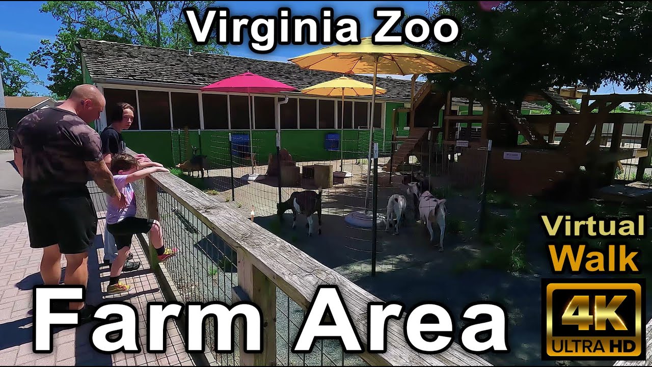 [4K] Walk Tour | Virginia Zoo | Farm and Reptile Area | No Talk Just ...