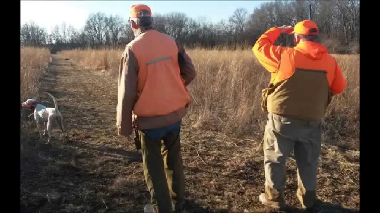 Dan and Cleatus Quail Hunt - YouTube