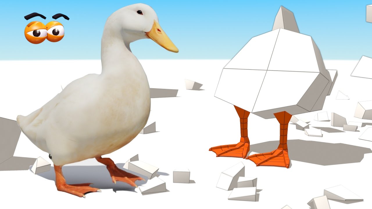 CUBE BUILDER for KIDS (HD) - Build a Duck for Children - AApV - YouTube