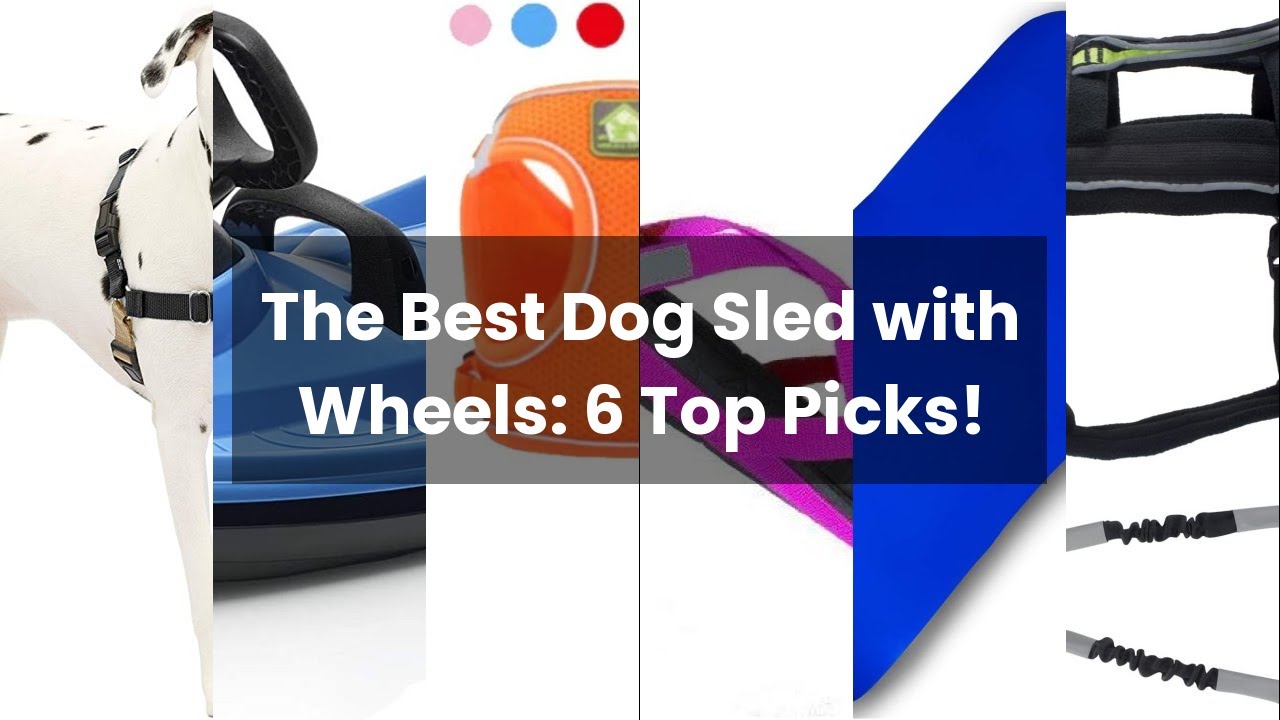 Dog sled with wheels: The Best Dog Sled with Wheels: 6 Top Picks! - YouTube