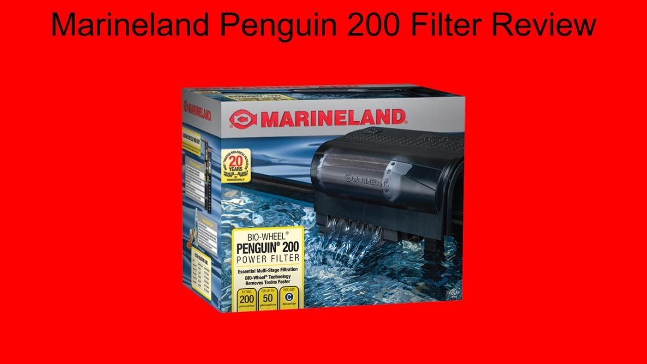 Marineland Penguin 200 filter review - YouTube