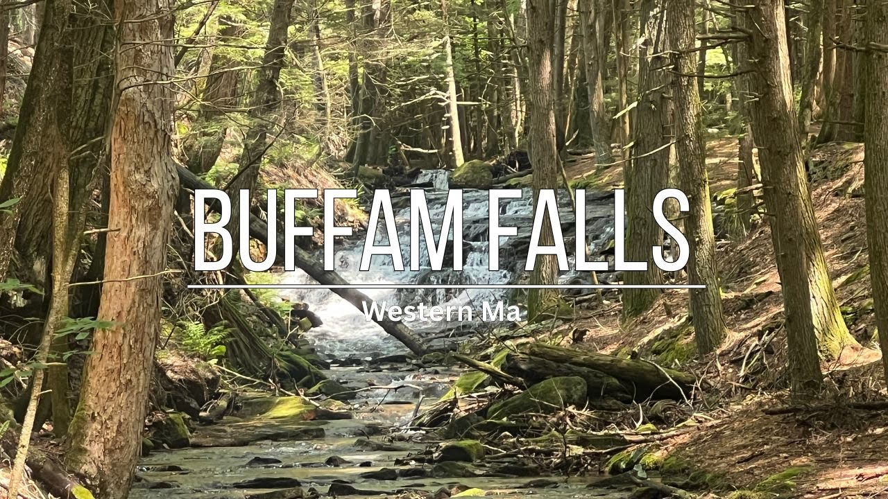 Relaxing Brook at Buffam Brook Community Forest | Western MA Nature ...